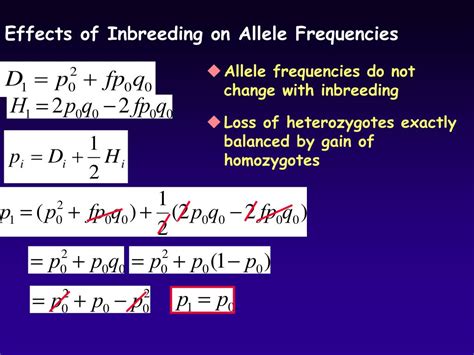 Ppt Lecture 6 Inbreeding Powerpoint Presentation Free Download Id3196678