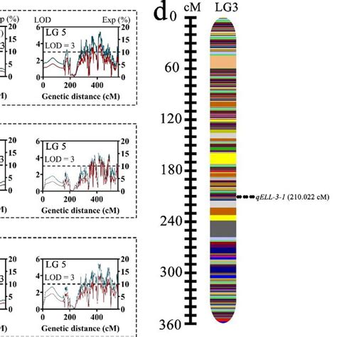 Qtls Identified For Leaf Length In Linkage Groups Three And Five Download Scientific Diagram