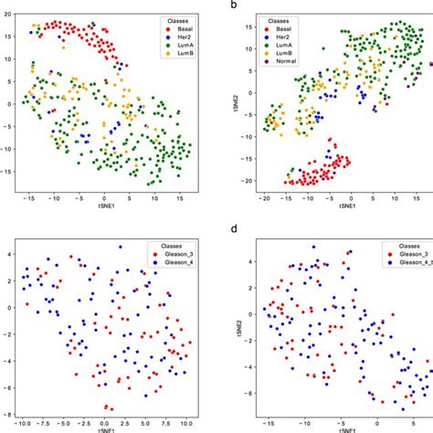 T Sne Representations Of The Gram Matrices Of The Test Sets Of The