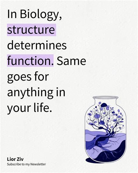 In Biology Structure Determines Function The Same Goes For Your Phone