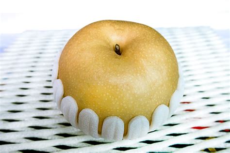 쿠션 포장지에 싸인 맛있는 배 유토이미지 상세페이지 베이직샵 20976952