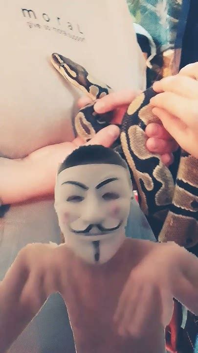 капибара в ванной сидит и танцует Youtube