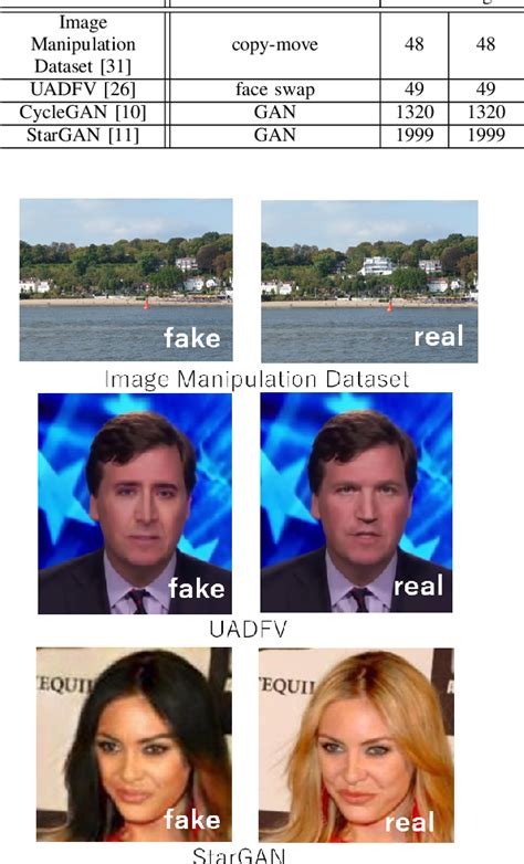 figure 3 from fake image detection with robust hashing semantic scholar