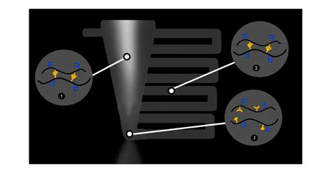 Dynamic Hydrogels And Polymers As Inks For Three Dimensional Printing Acs Biomaterials Science