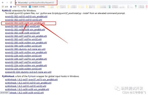 Vscode Python 已经安装了的库仍有波浪线 张生荣