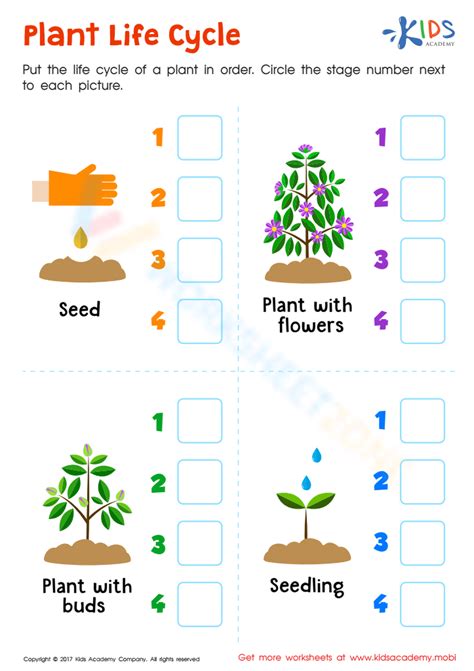 Free Plant Life Cycle Printables Fun And Learn Printables For Everyone