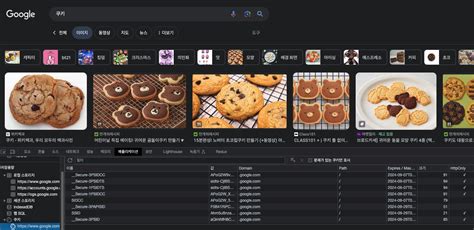 Til 쿠키 세션 웹스토리지의 차이점