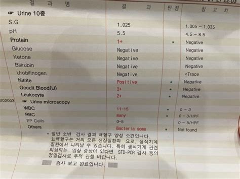 소변검사 결과 해석좀 해주세요 지식in