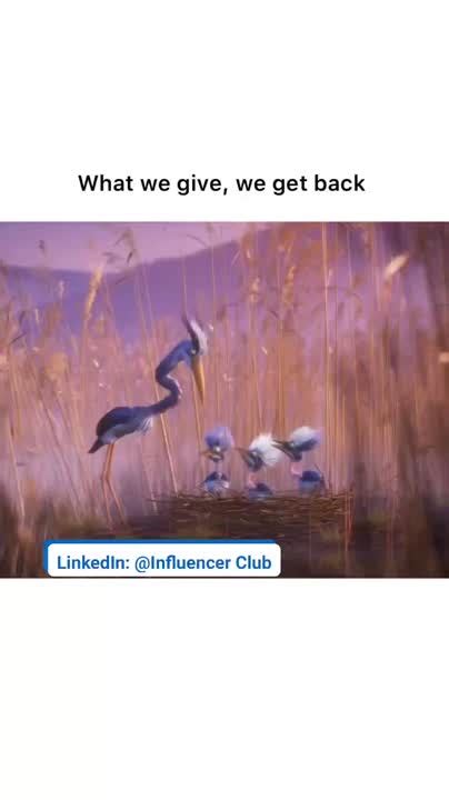 Muhammad Hamza Posted On Linkedin