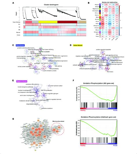 Wgcna Analysis Of Healthy And Pcos Oocytes In Different Stages A