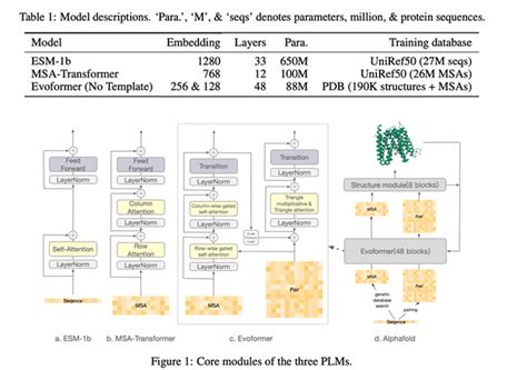 Using Alphafold2 Evoformer For Protein Function Prediction By Ai