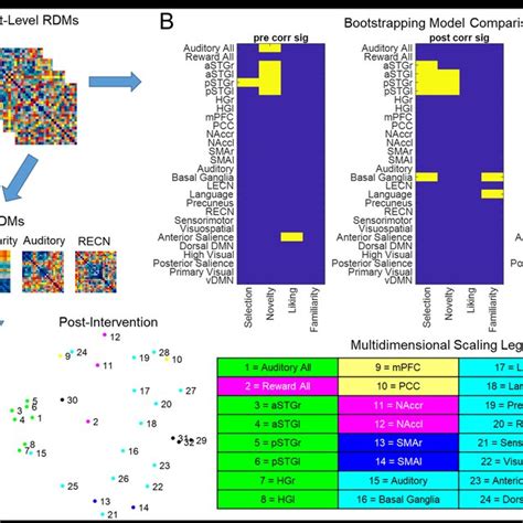 Representational Similarity Analysis A Schematic Of Rsa Processing