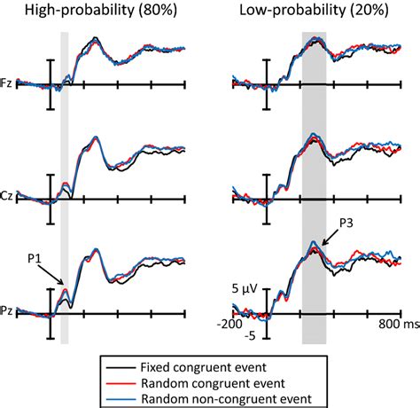Grand Average Erp Waveforms For Each Trial At The Fz Cz And Pz