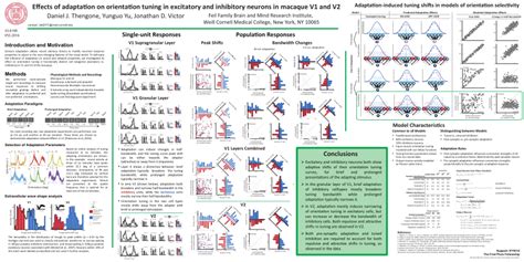 Pdf Effects Of Adaptation On Excitatory And Inhibitory Neurons In Macaque V1 And V2
