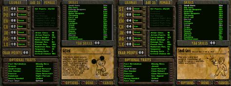 Lilura1 Crpg Design And Computer Game Design