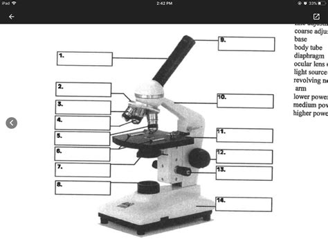Microscope Diagram Quizlet