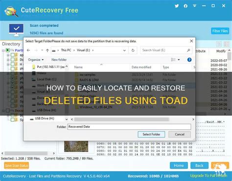 How To Easily Locate And Restore Deleted Files Using Toad PetShun