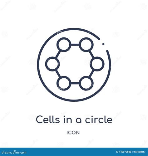 Linear Cells In A Circle Icon From Medical Outline Collection Thin