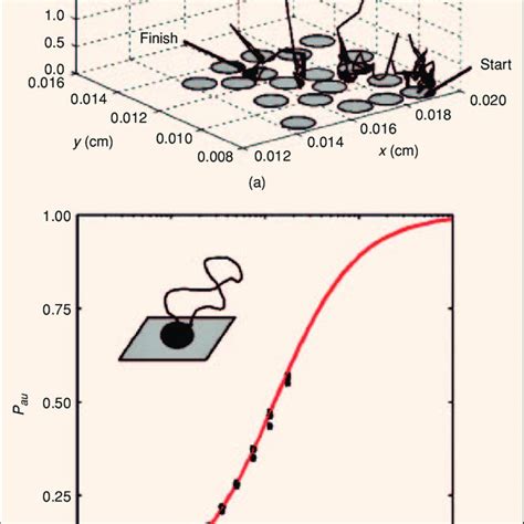 Brownian Dynamics Simulation Of Ligand Diffusion And Binding A A