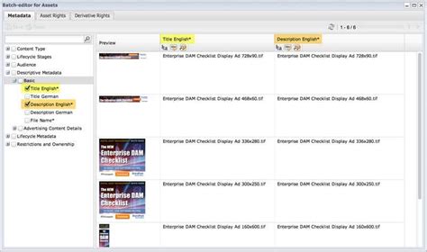 Batch Editing Metadata In Picturepark