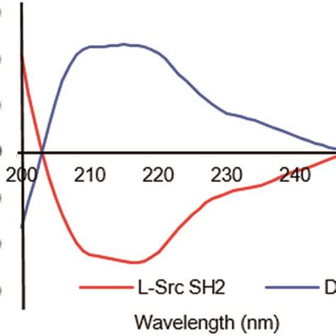 Circular Dichroism Spectra Of The Folded L Src Sh2 Domain And D Src Sh2 Download Scientific