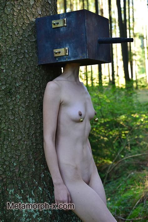 The Box On The Tree