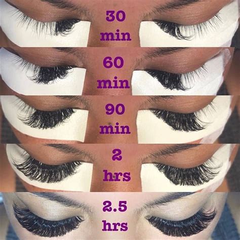 Volume Set Procedure UBL Perfect Eyelashes Eyelash Technician