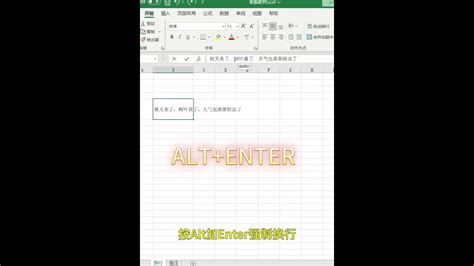 Excel换行的两种方法，你不会还不知道吧？ Excel换行 Excel操作技巧 Excel表格 职场办公技巧 Excel函数