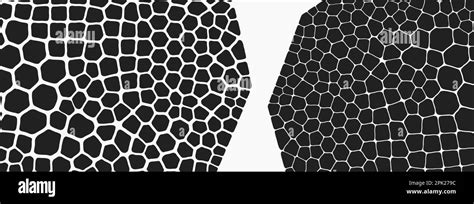 Abstract Science Background With Fantasy Cells Cross Section Or Microscopic View Biology