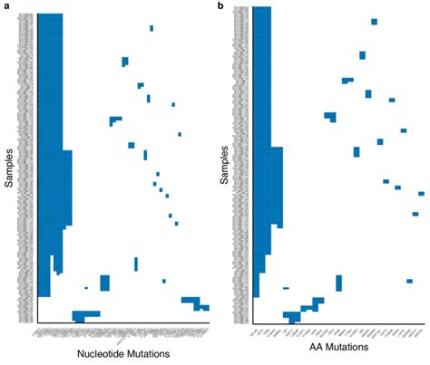 Mutation Heatmap Instances Of A Nucleotide And B Amino Acid