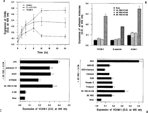 Figure 1 From Interaction Of Sickle Erythrocytes With Endothelial Cells
