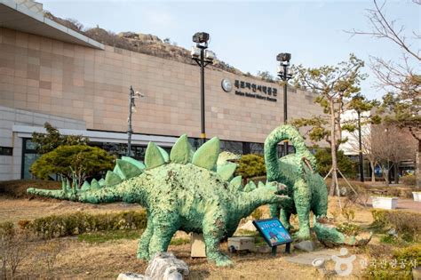 지속가능성을 탐험하다 목포자연사박물관
