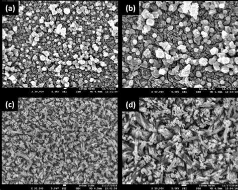 Surface Morphologies Of The Hematite Nanostructures Using Precursor Download Scientific Diagram