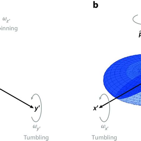 PDF Anisotropic Particles In Turbulence
