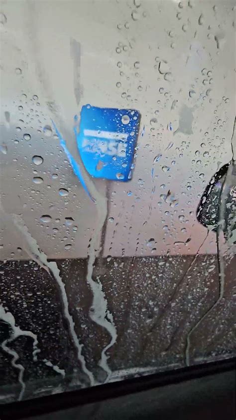 Мою Секвою 🥰 Youtube