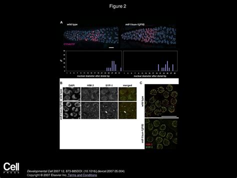 Volume 12 Issue 6 Pages June 2007 Ppt Download