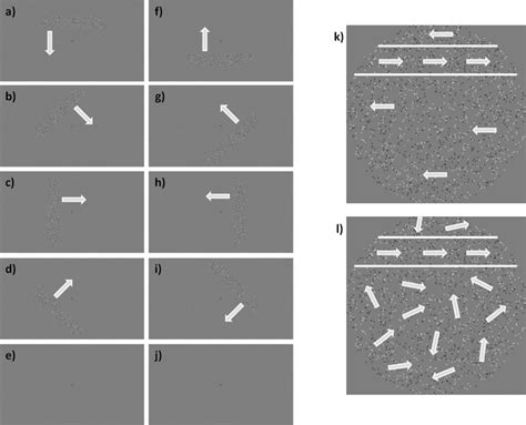 Schematic Diagrams Of The Experimental Set Up In Experiment 1 A To Download Scientific