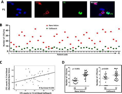 Comparison Of Nanovelcro And Cellsearch In Ctc Capture Ability A
