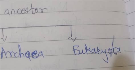 Numerical Taxonomy Principles Example Cladogram Phylogeny Dna