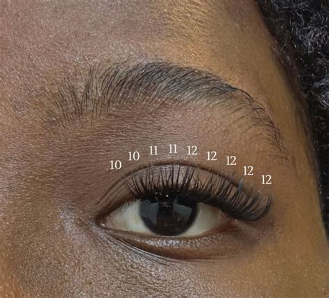 Lash Clusters Map Lashes Natural Fake Eyelashes Fake Eyelashes