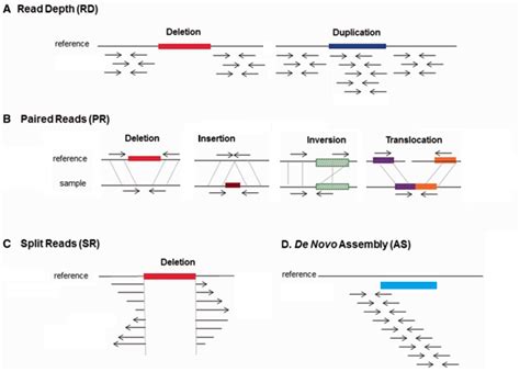 sv detection structural variation detection analysis 1010genome
