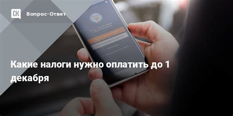 Какие налоги нужно уплатить до 1 декабря