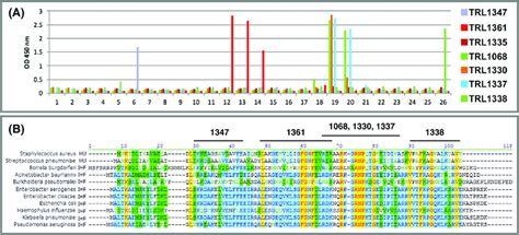 Epitope Mapping For Representative Mabs Epitope Mapping Data Are