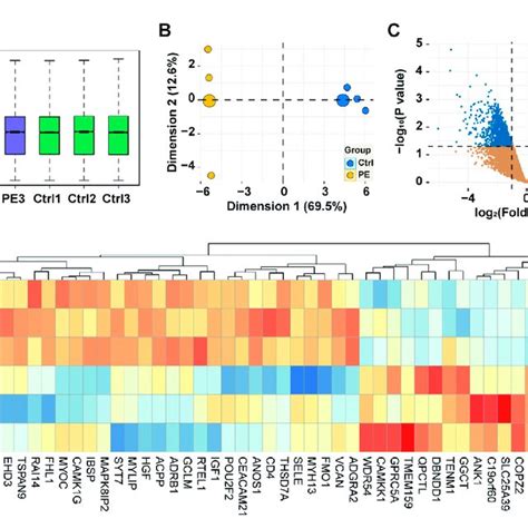 High Throughput Sequencing Of Placental Tissues A Box And Whisker Download Scientific