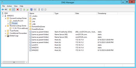 configuring dns on a windows domain controller