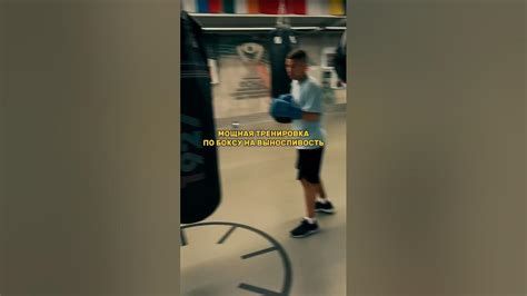 Мощная тренировка по боксу на выносливость 👊 бокс боец Sports бой