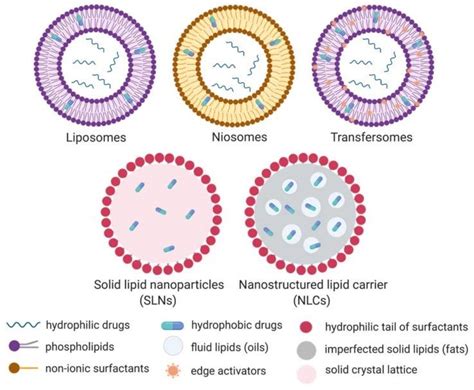 Lipid Nanoparticles Review Articles
