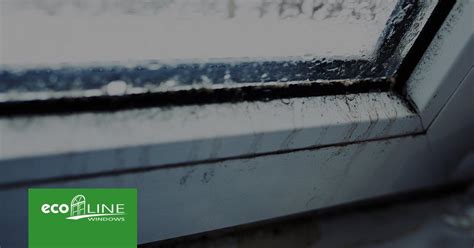 Leaking Windows During Heavy Rain What To Look Out For