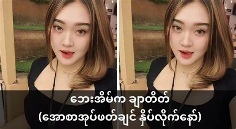 ဘေးအိမ်ကချာတိတ် ဖောင်းဒိုင်းစာအုပ် အပြာစာအုပ် အောစာအုပ်များ