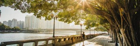 Sustainability 101 What Is Carbon Accounting Digitaltrack Solutions